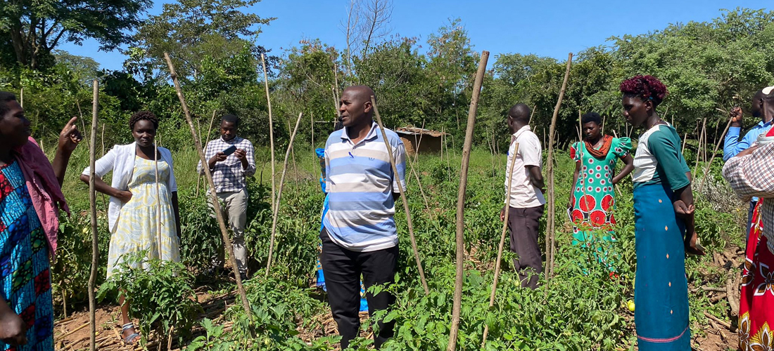 Implementing SHARP+ to foster transformative climate actions in Uganda’s Cattle Corridor | UNDP ...